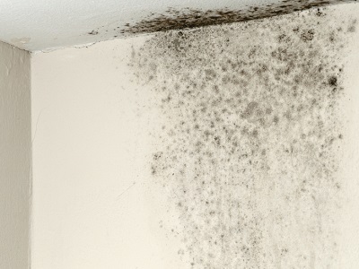 Avoiding condensation in buildings with the right insulation ...