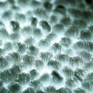 Light up floors with LED carpet by Desso and Philips [VIDEO ...