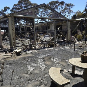 We can build homes to survive bushfires, so why don't we ...