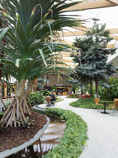 Libraries without walls: when students become the core design ...