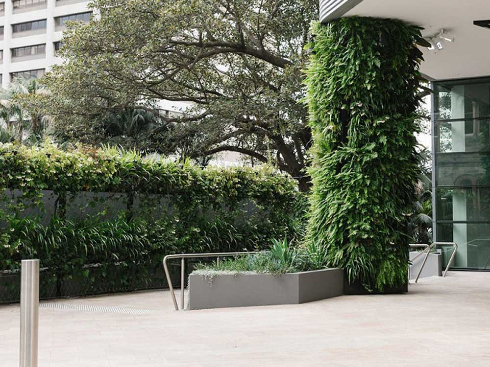 Green laneway welcomes workers and visitors to North Sydney office ...