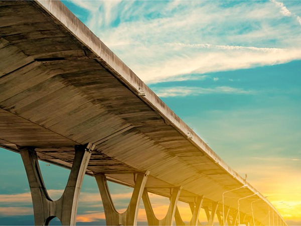 Bridges with limb-inspired architecture can withstand earthquakes ...
