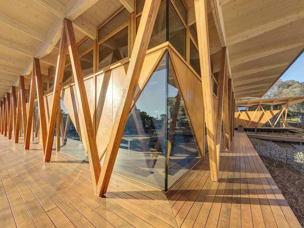 MASSLAM gets prominence on Arup’s timber buildings document | Architecture & Design