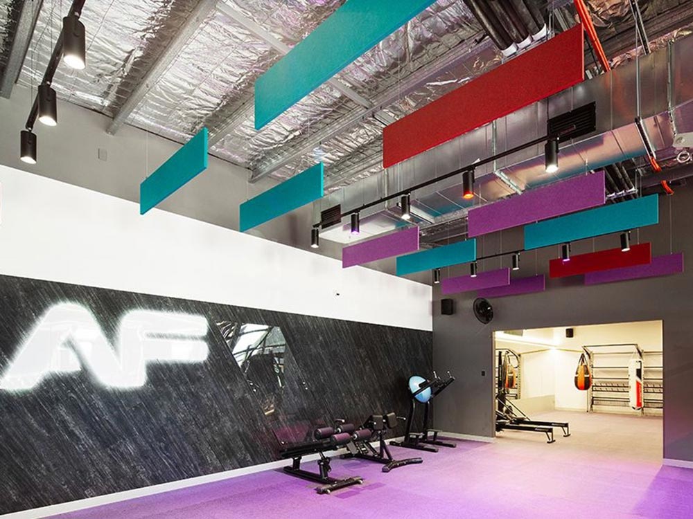 Acoufelt acoustic baffles help deliver a positive gym experience at ...