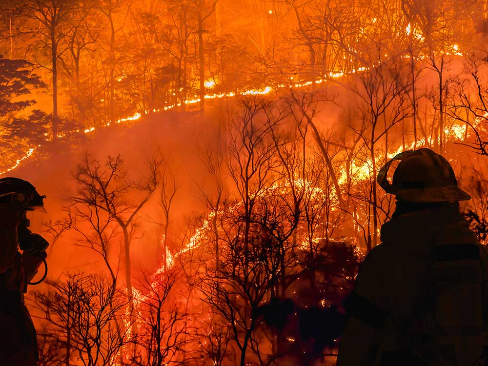 Schweigen silent rangehoods powered by CSIRO-certified BAL-40 Isodrive ...