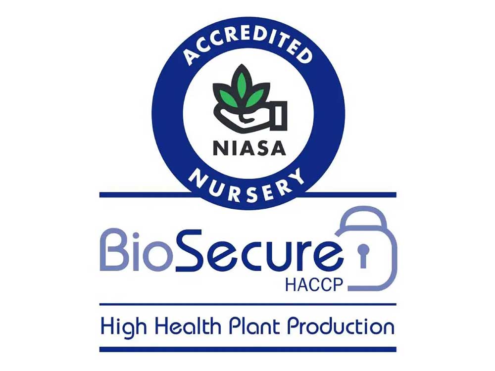 Plant Tiles achieves BioSecure HACCP certification | Architecture & Design