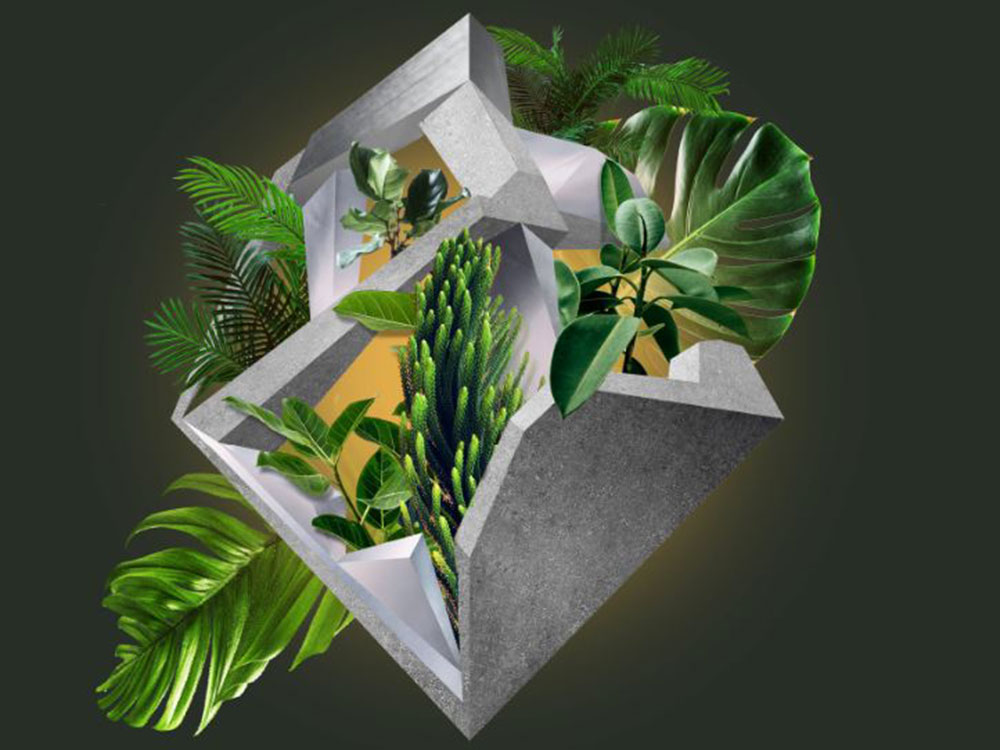 Meet Alteria at The Arc Agency Sydney event BIOPHILIA on 22 November ...