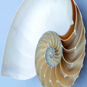 Do Michael Pawlyn’s nature inspired creations hold the key to designing ...