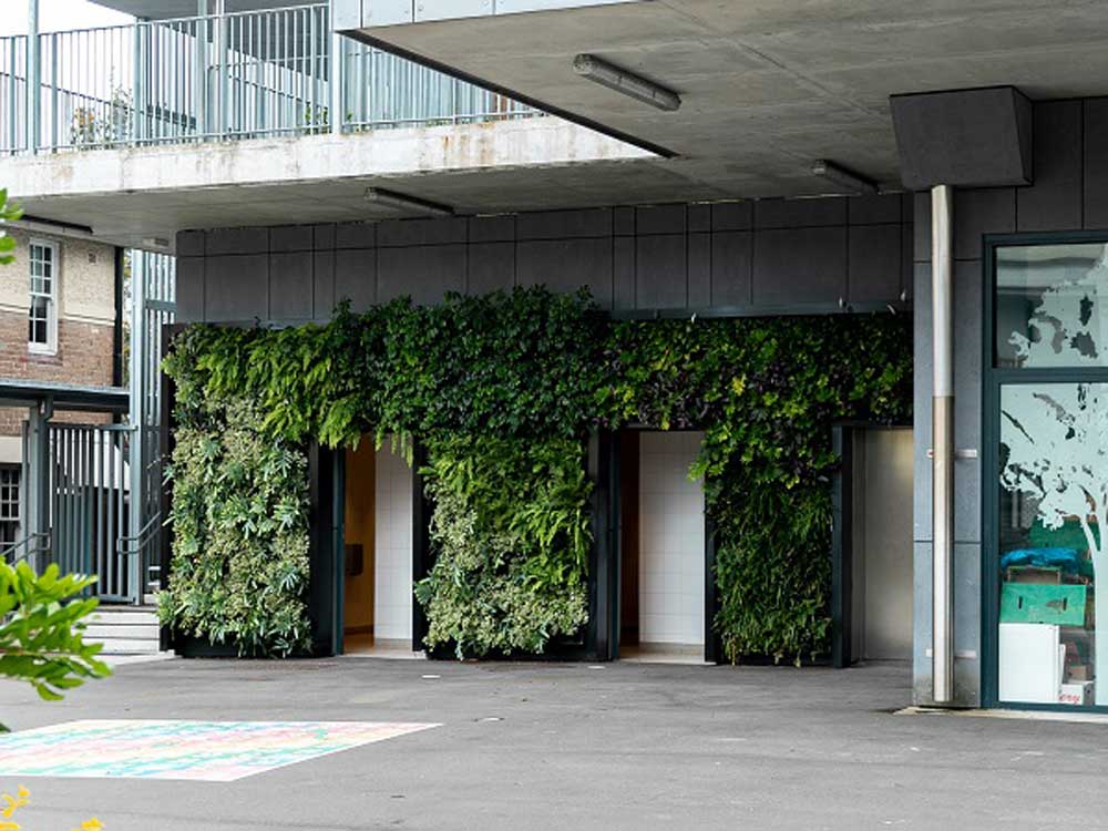 Green wall displays school’s commitment to student wellbeing and urban ...