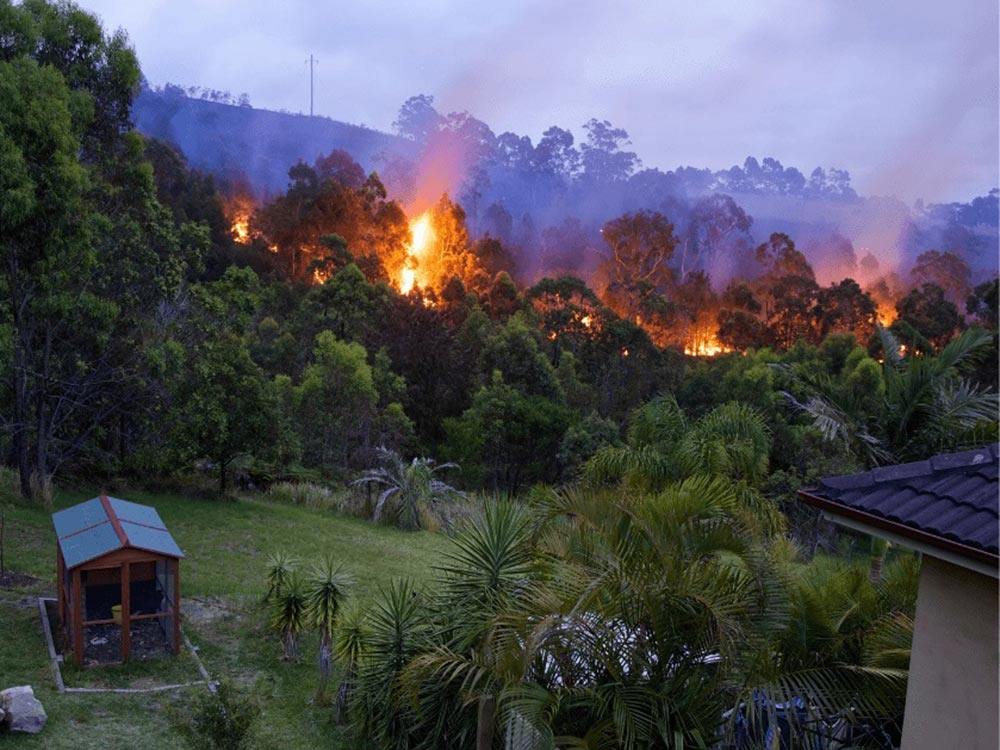 How to be prepared for bushfires all year round | Architecture & Design