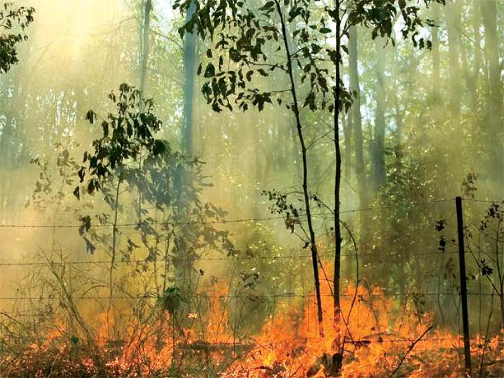 Bushfire resistant sealing solutions for door assemblies | Architecture ...