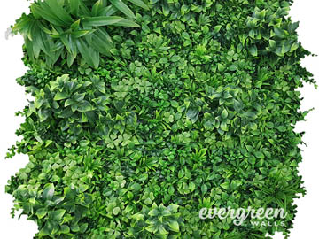 Evergreen Country | Architecture & Design