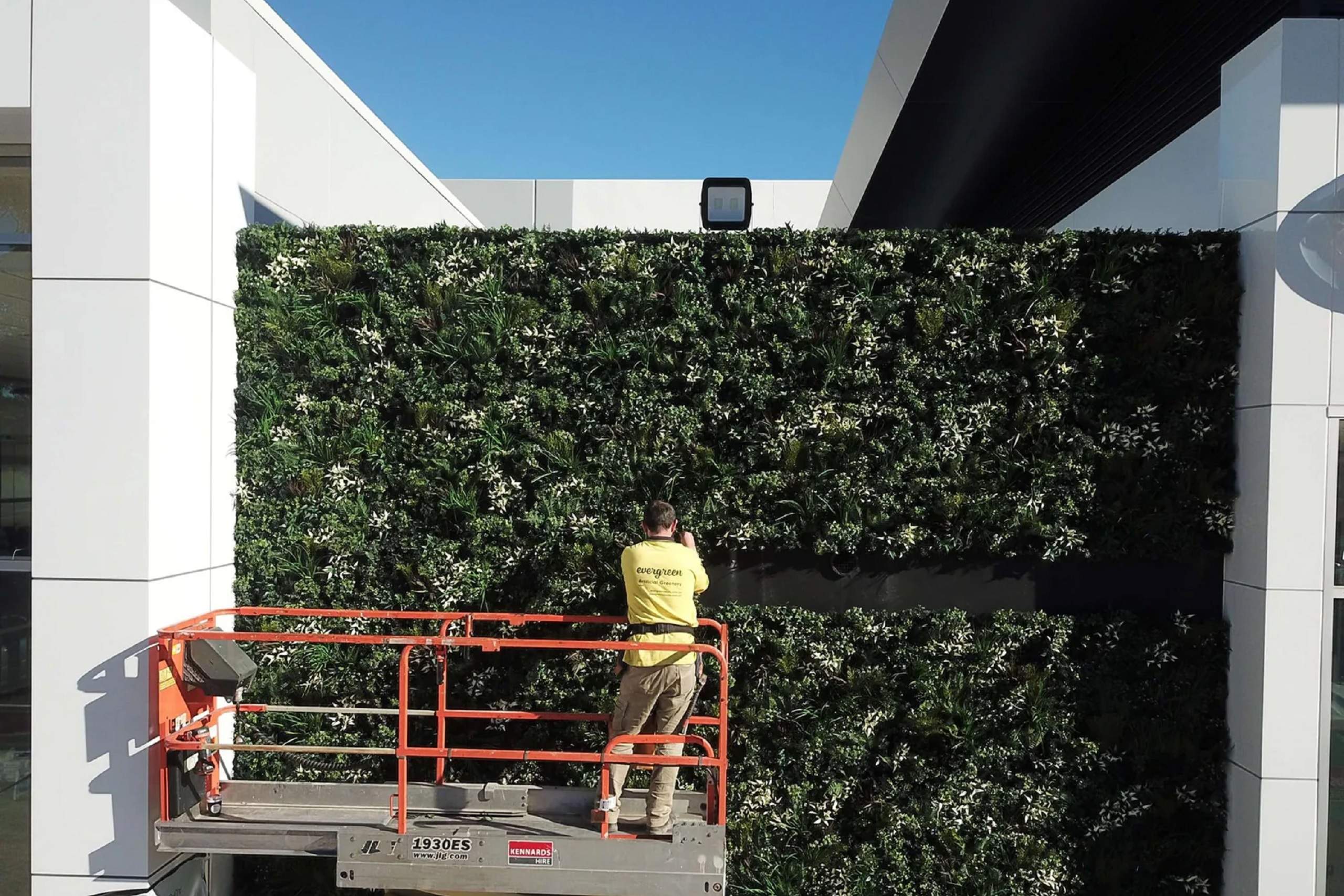 Why fire-rated artificial green wall panels are a smart investment for ...