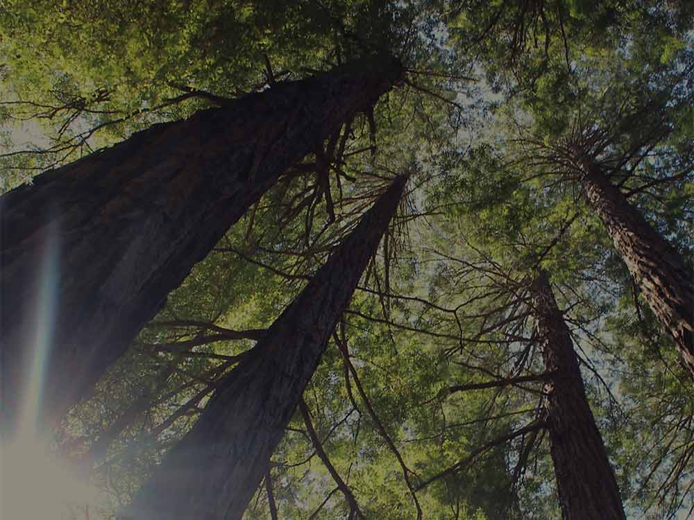 Knauf sustainability eBook | Architecture & Design