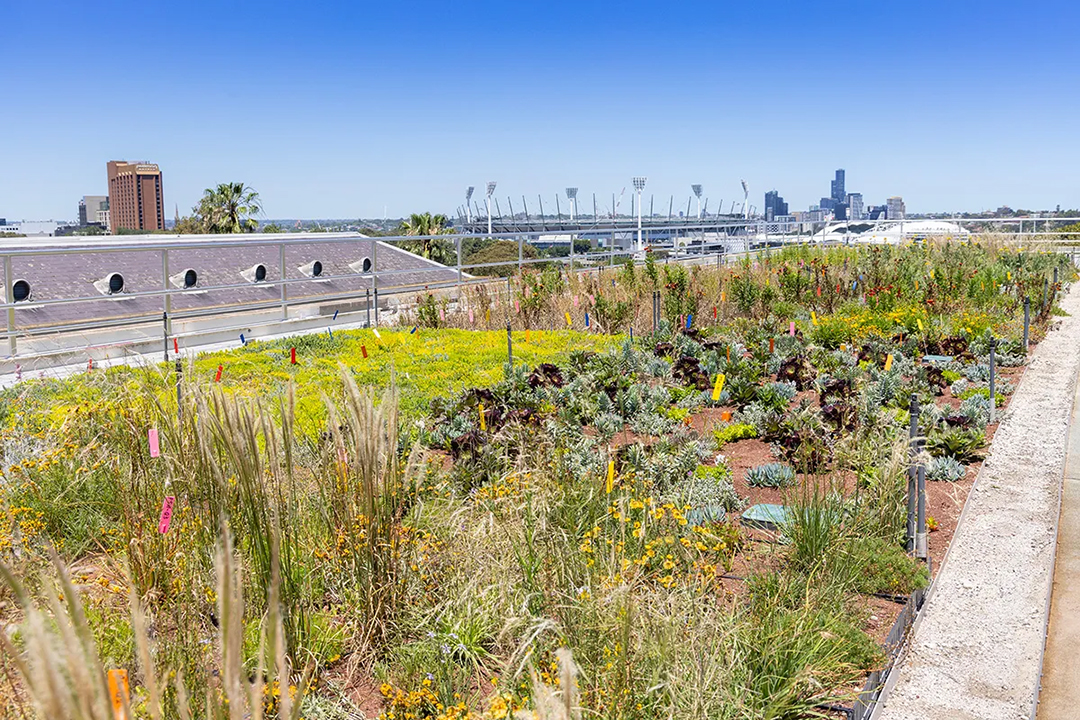 Green roof on 1 Treasury Place completed | Architecture & Design