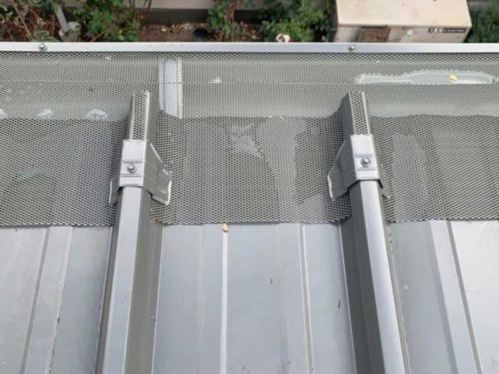 Bird proofing new homes | Architecture & Design
