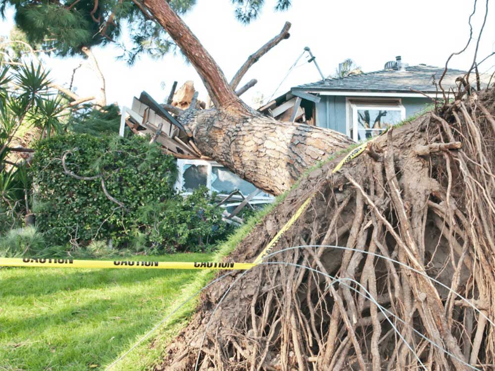 QLD Government’s Household Resilience Program receives funding boost ...
