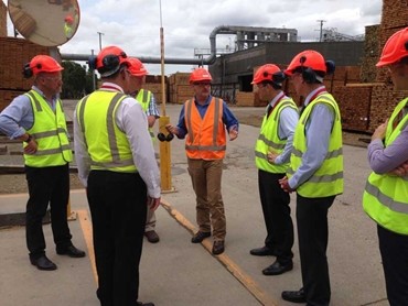 Hyne Timber mill in Tuan welcomes Fraser Coast Mayor and Councillors ...