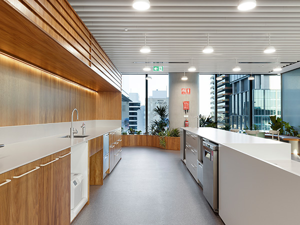 Commercial design: Balancing productivity, acoustics, and aesthetic ...