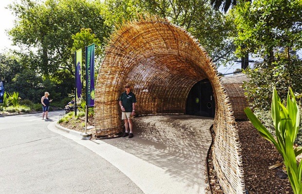 Snowdon Architects design nests from recycled timber for Melbourne Zoo ...