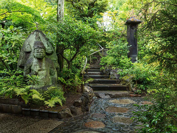 If I could go anywhere: the deep mountains and mysterious valleys of ...