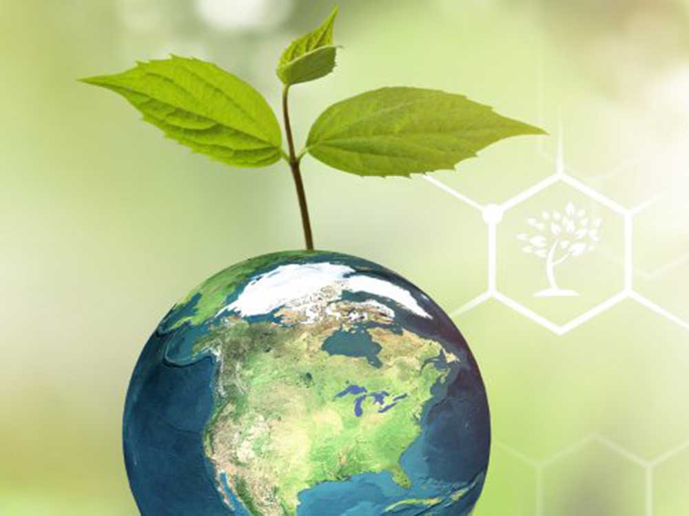 Siniat’s Climate Active certified opt-in carbon neutral program ...