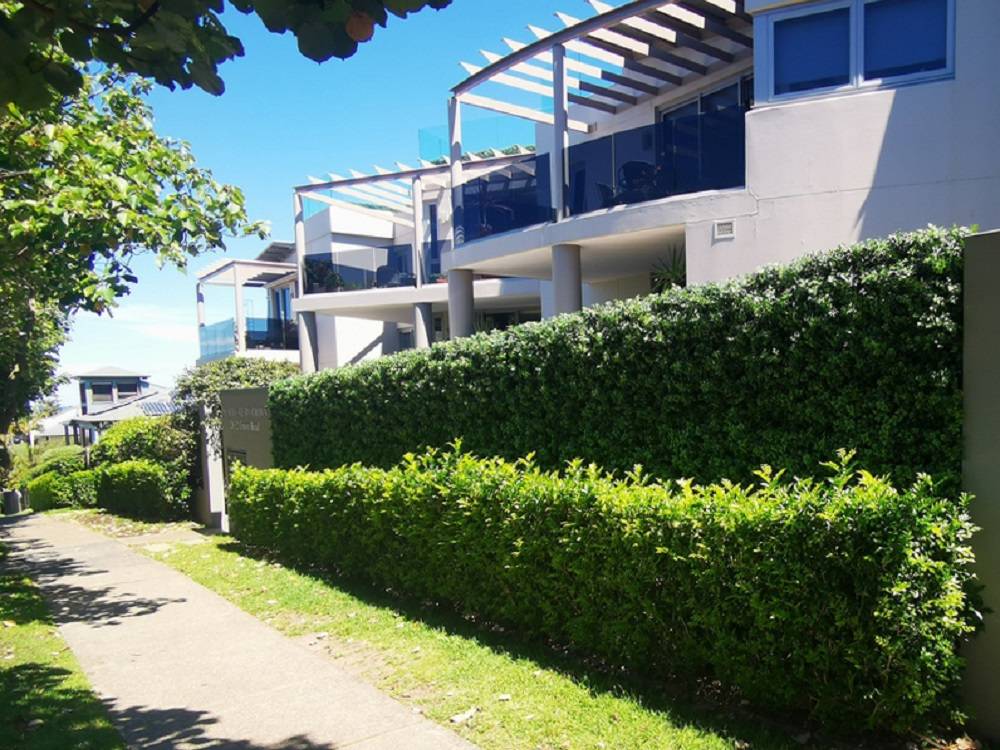 Premium Hedge panels create a private courtyard sanctuary for ...