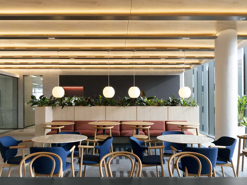 Stunning impact made with unique perforated ceiling feature for Rhodes ...