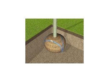 Root ball guying secures large urban trees | Architecture & Design