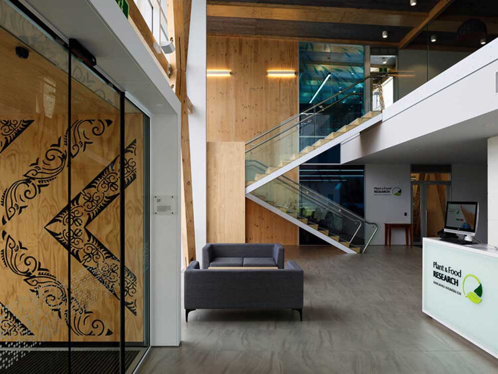 XLam mass timber supports lightweight construction at Nelson food ...