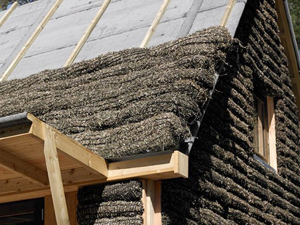 Seaweed as insulation? | Architecture & Design