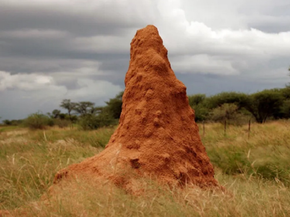 Commercial And Industrial Fibreglass Water Filters from Waterco ...