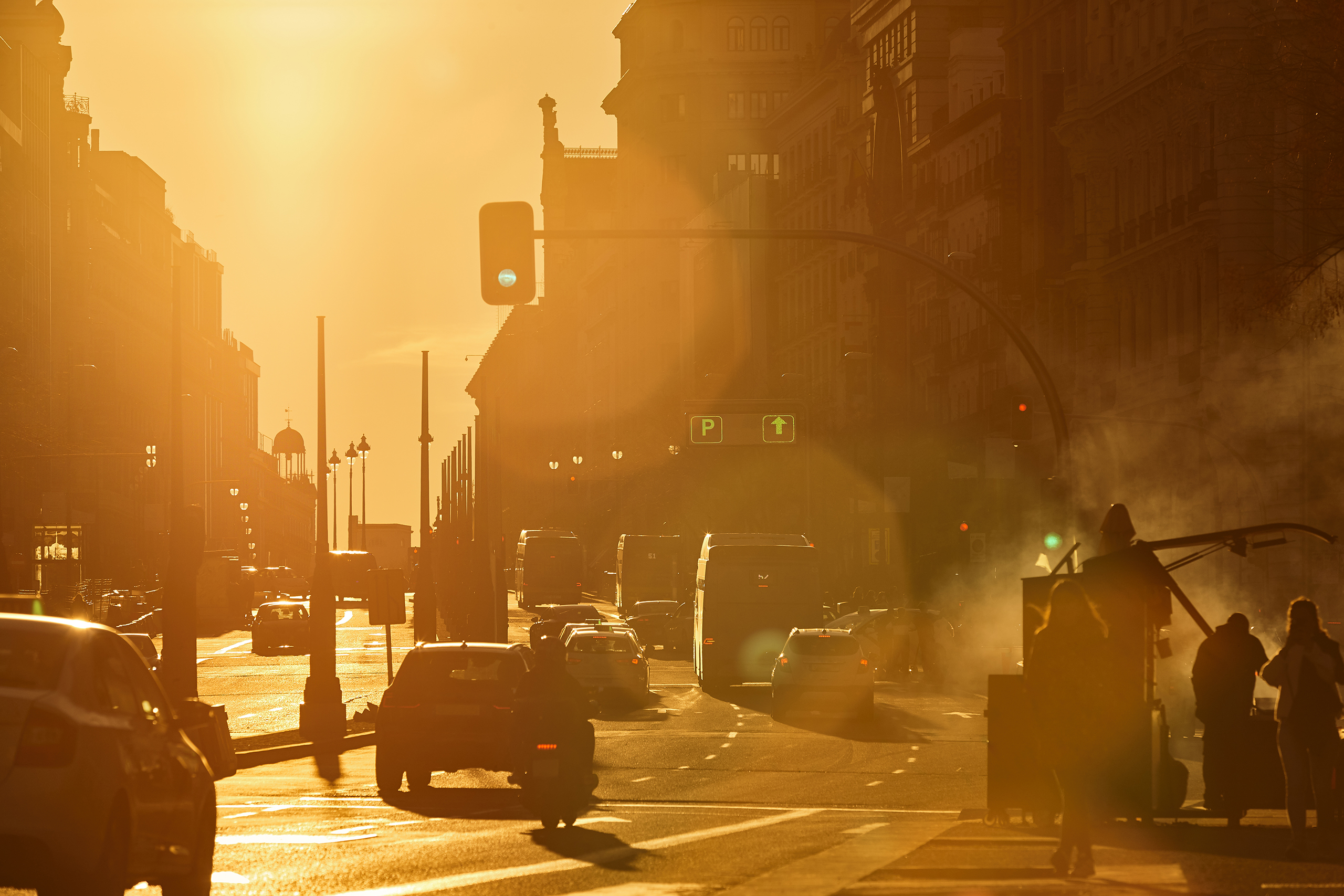 Urban heat and social inequality go hand in hand | Architecture & Design