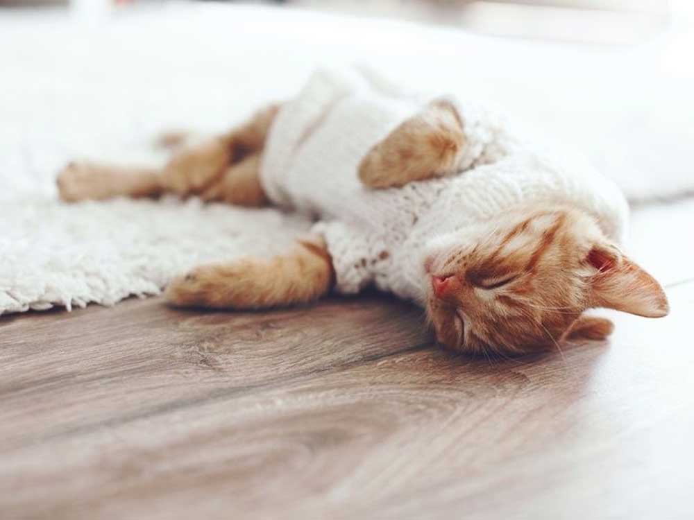 Enhancing thermal comfort in your home with Expol | Architecture & Design