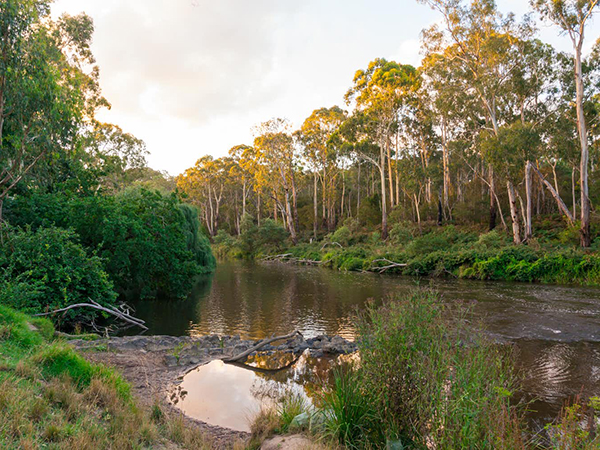 A tale of 2 rivers: is it safer to swim in the Yarra in Victoria, or ...