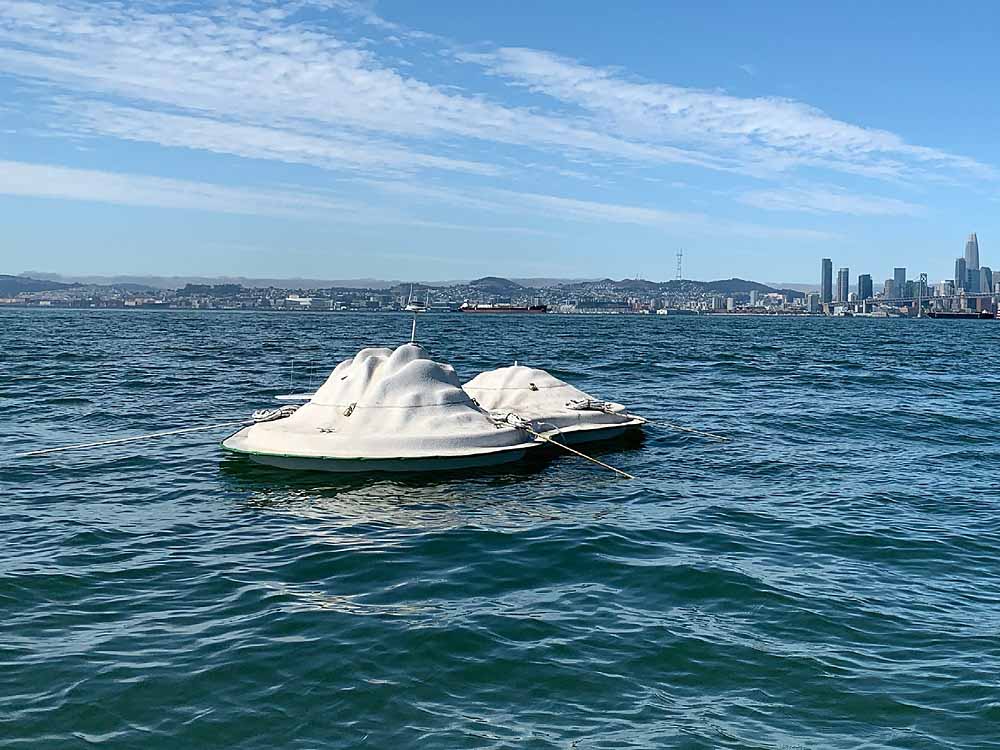 Researchers create new resilient coastal infrastructure | Architecture ...