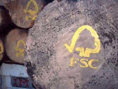 FSC Australia launches Australian certification standard for ...