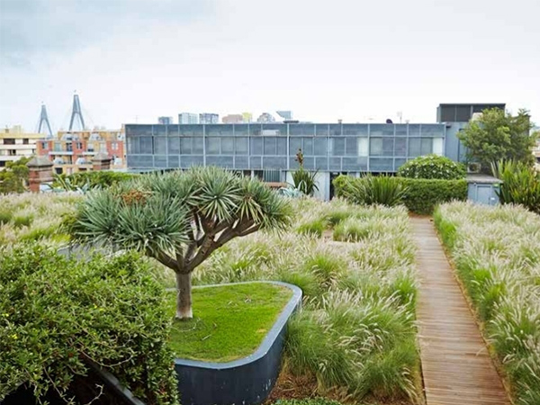 Rooftop gardens: taking green spaces to new heights | Architecture & Design
