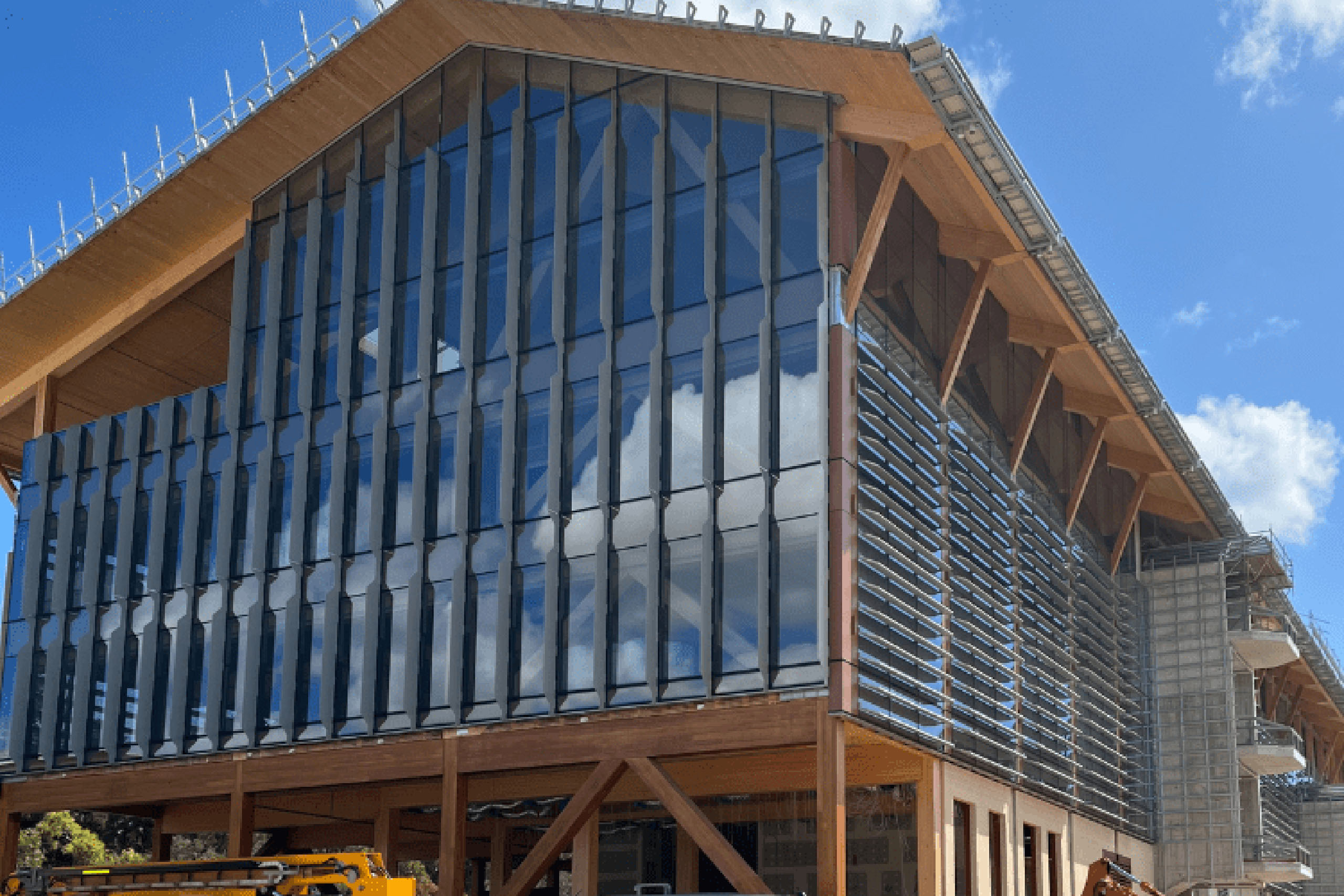 Steel in timber construction – meeting compliance and complex design ...