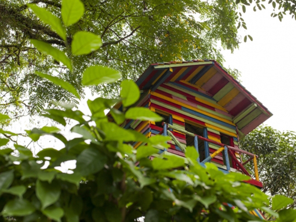 Are treehouses the height of architecture? | Architecture & Design
