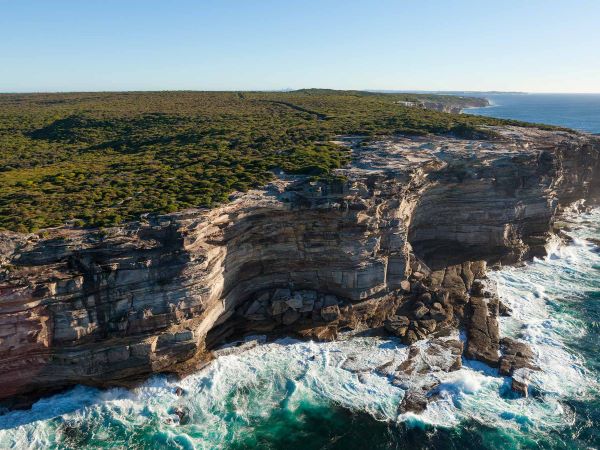 NSW environment and heritage at risk as department collapses ...