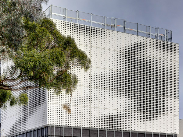 Sydney Metro Waterloo | John McAslan + Partners | Architecture & Design